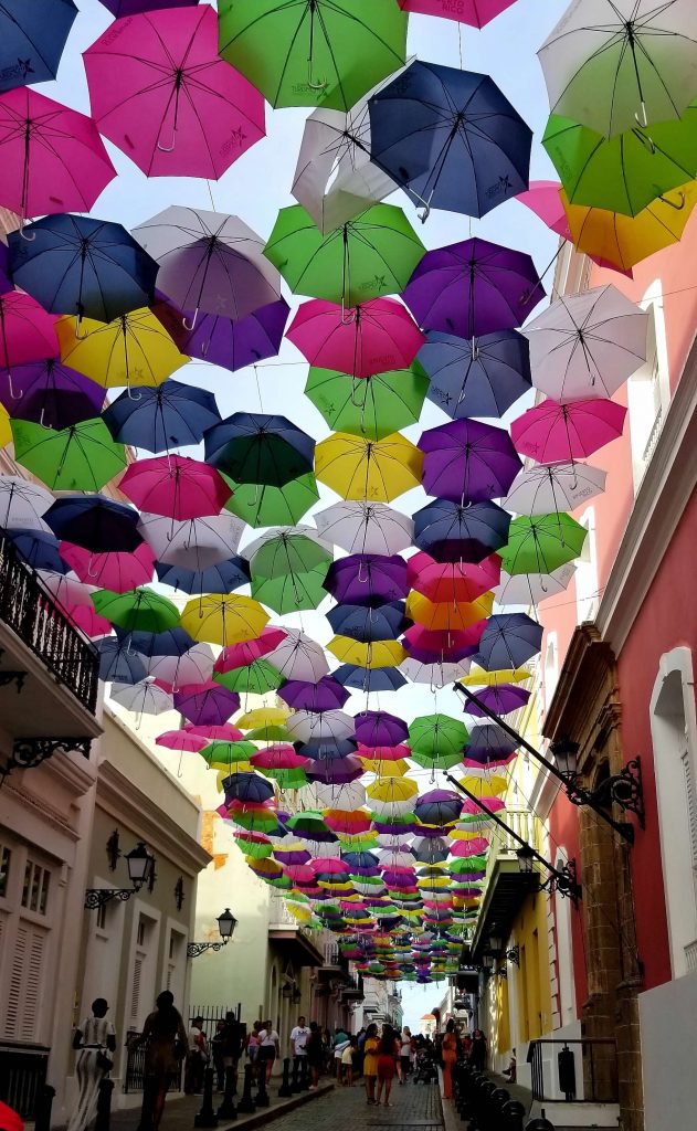 Custom Wandering – Adventure, Designed Just for You.