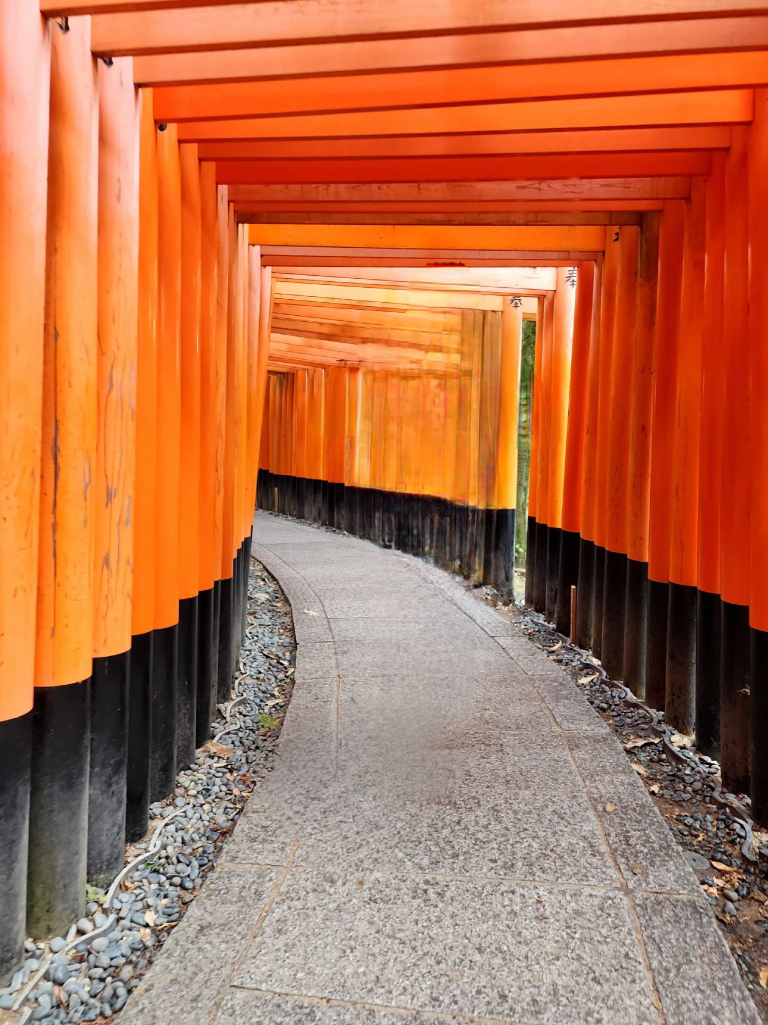 Zen Gardens & Sumo Rings: A Journey Through Japan – Custom Wandering